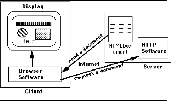 The Internet and the World Wide Web